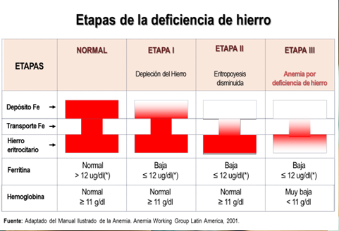 ¿qué Es La Anemia Anemia